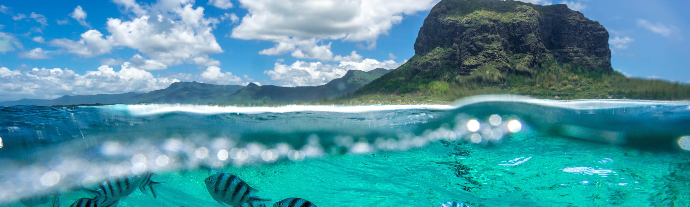 Our Partners | Sunsail